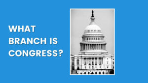 What Is the Legislative Branch?