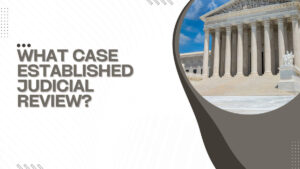 The Power of Judicial Review