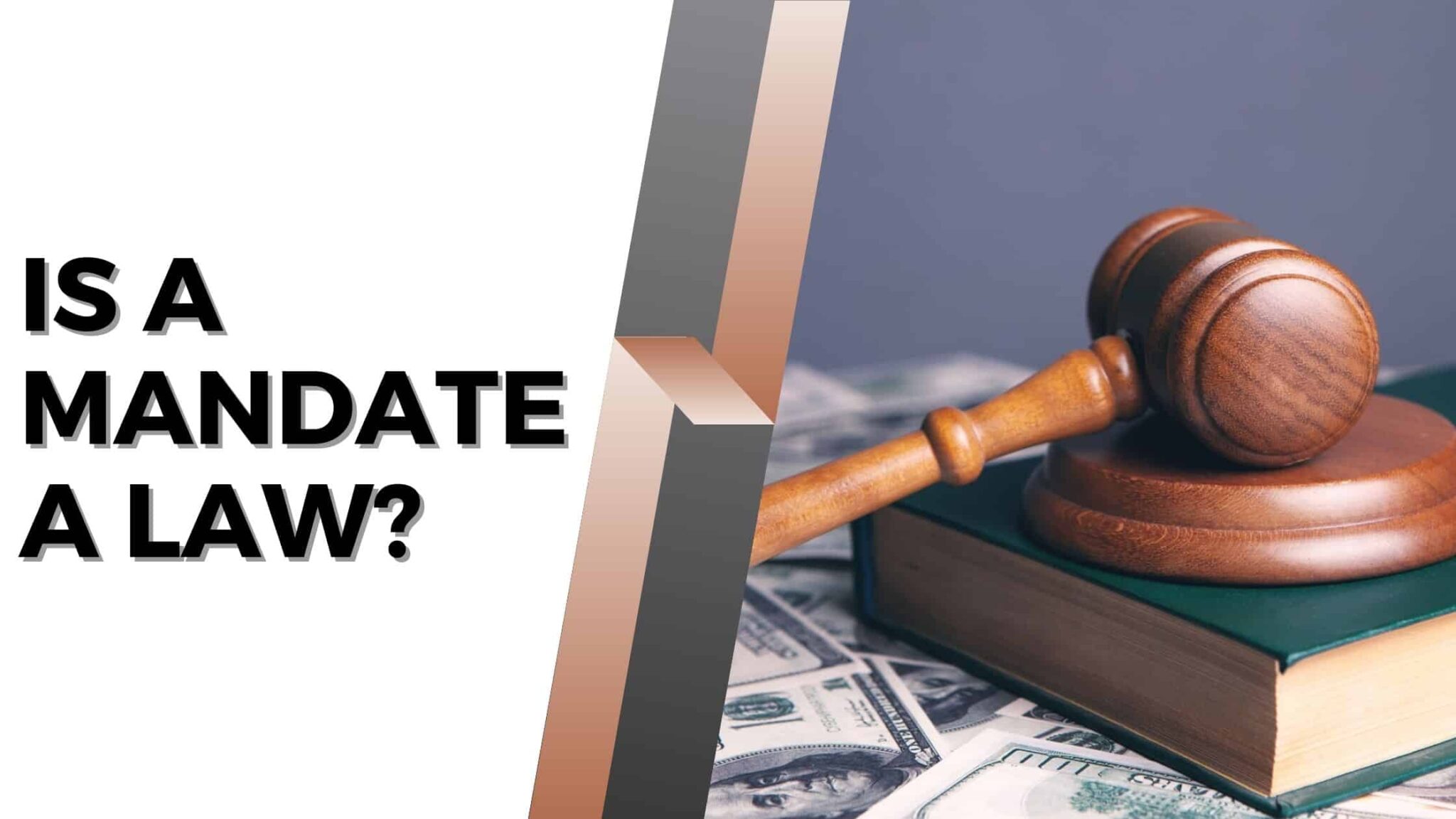 What Does Repeal Mean In Law?