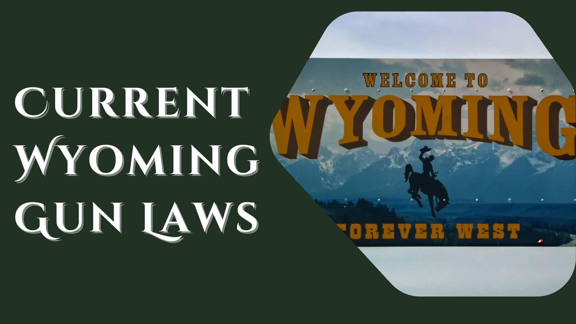 Current Wyoming Gun Laws Constitution Of The United States