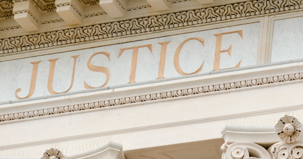 What Is an Adjudicator?